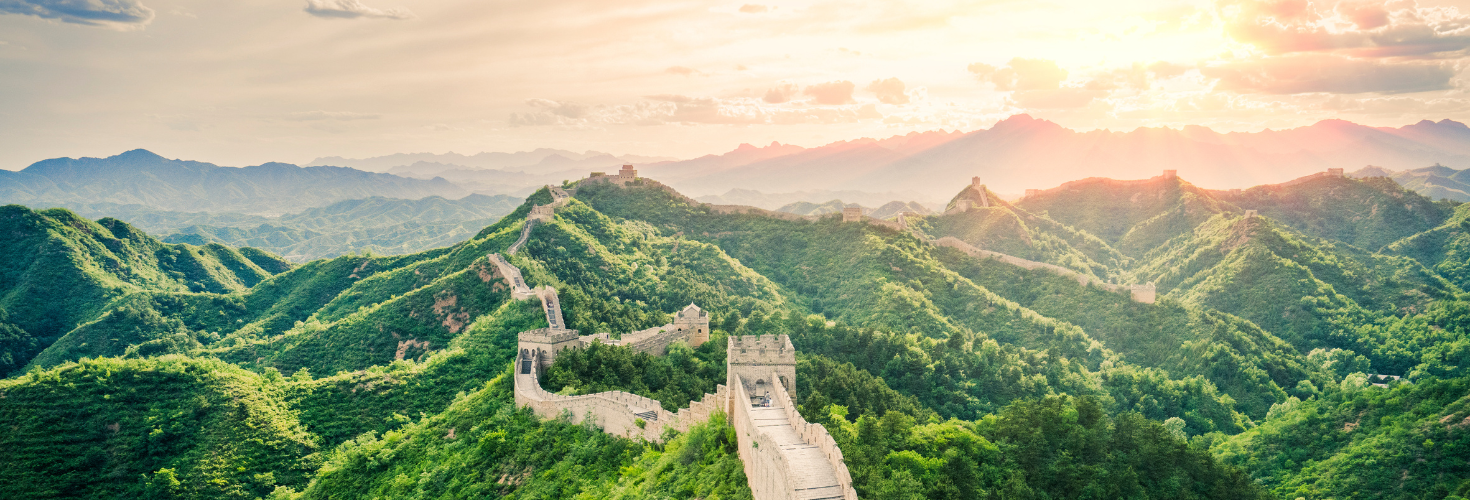 Cruises for everyone - easy and simple! Cruise at the best prices!