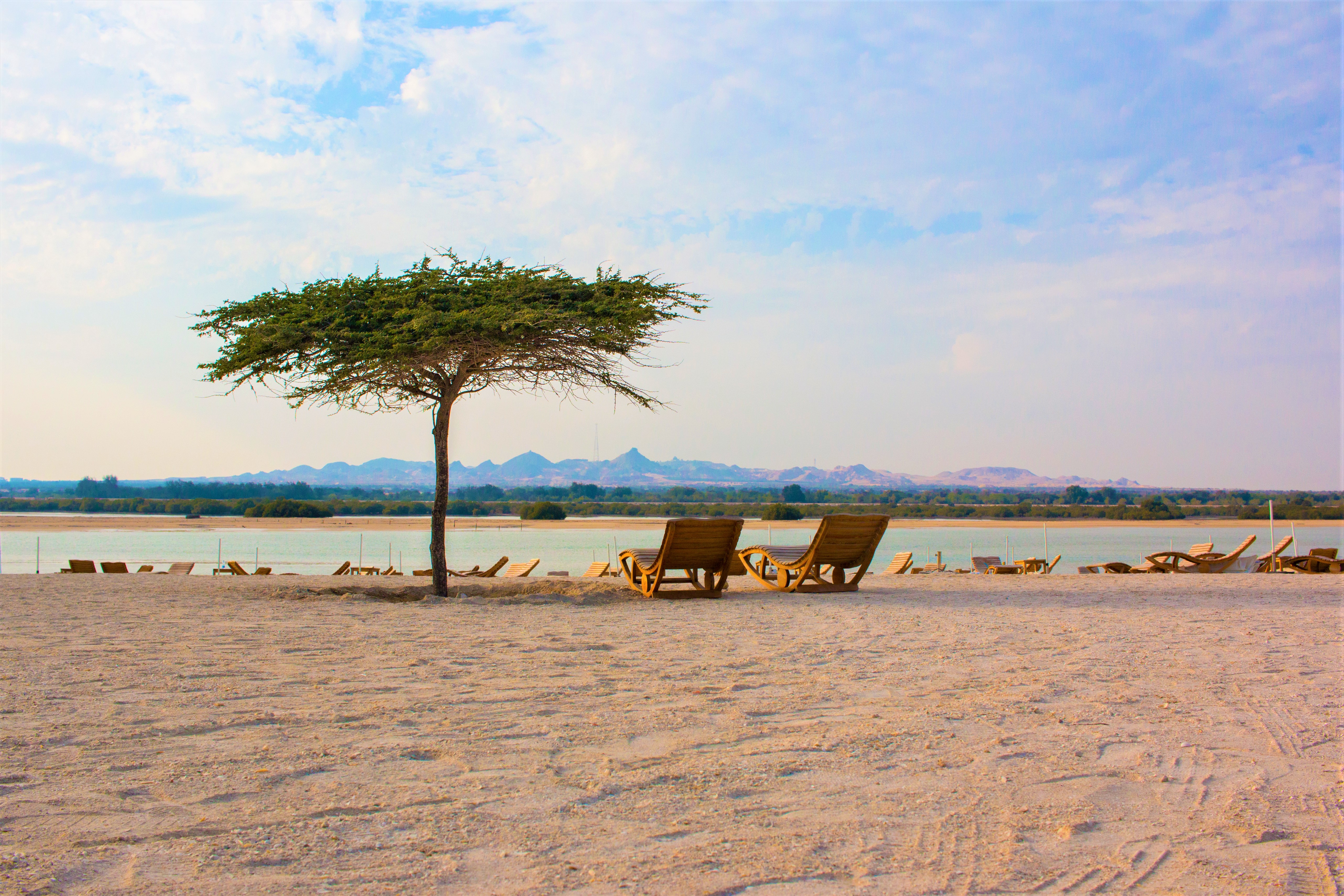 Doha - Sea day - Dubai - Sir Bani Yas Island - Abu Dhabi - Manama - Doha