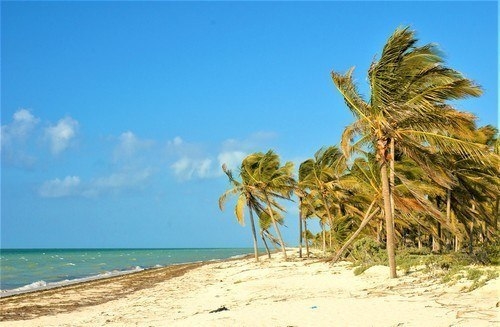 Galveston - Sea day - Costa Maya - Cozumel - George Town - Falmouth ...